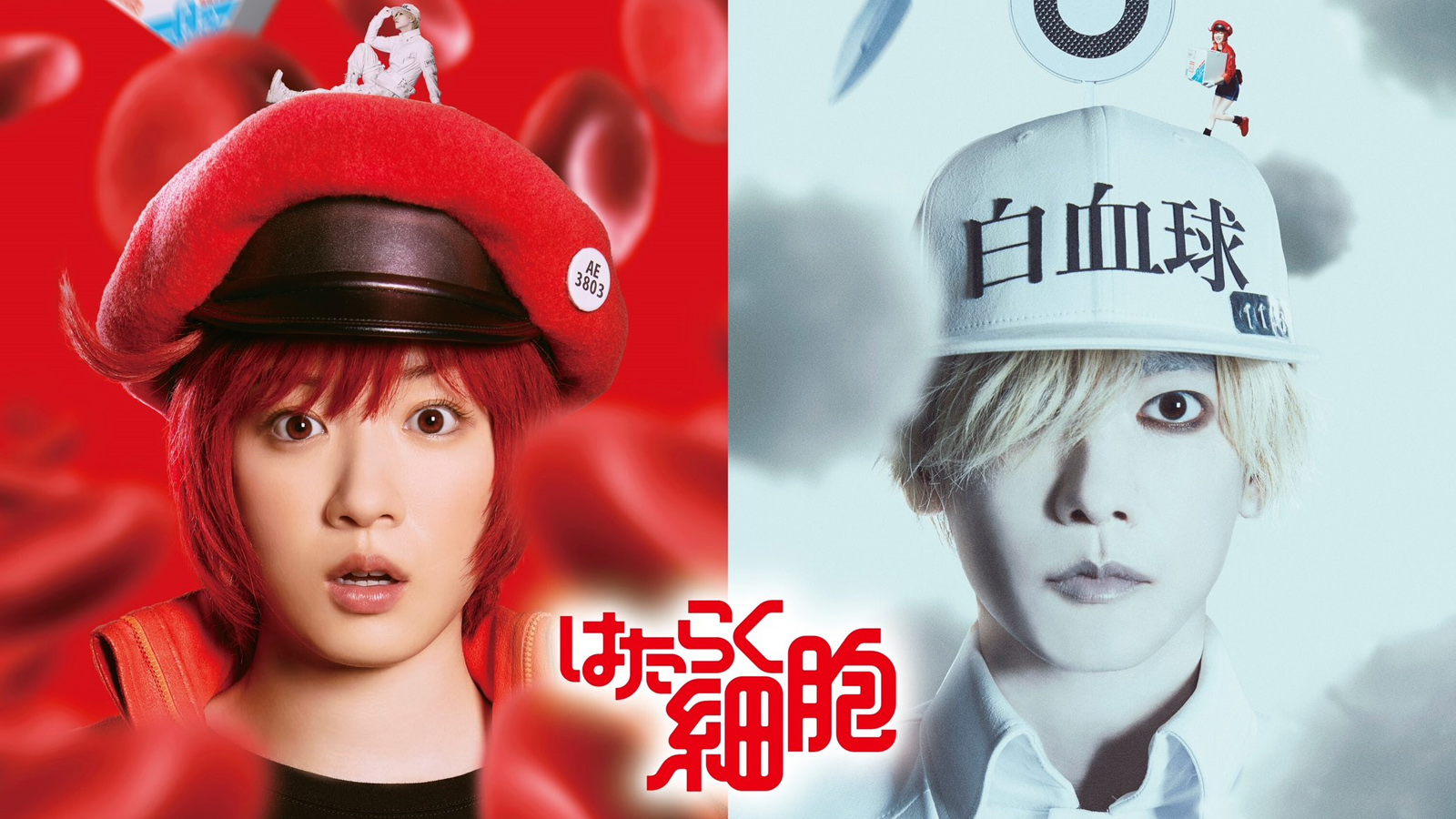 Cells At Work! - Netflix zeigt Live-Action-Adaption